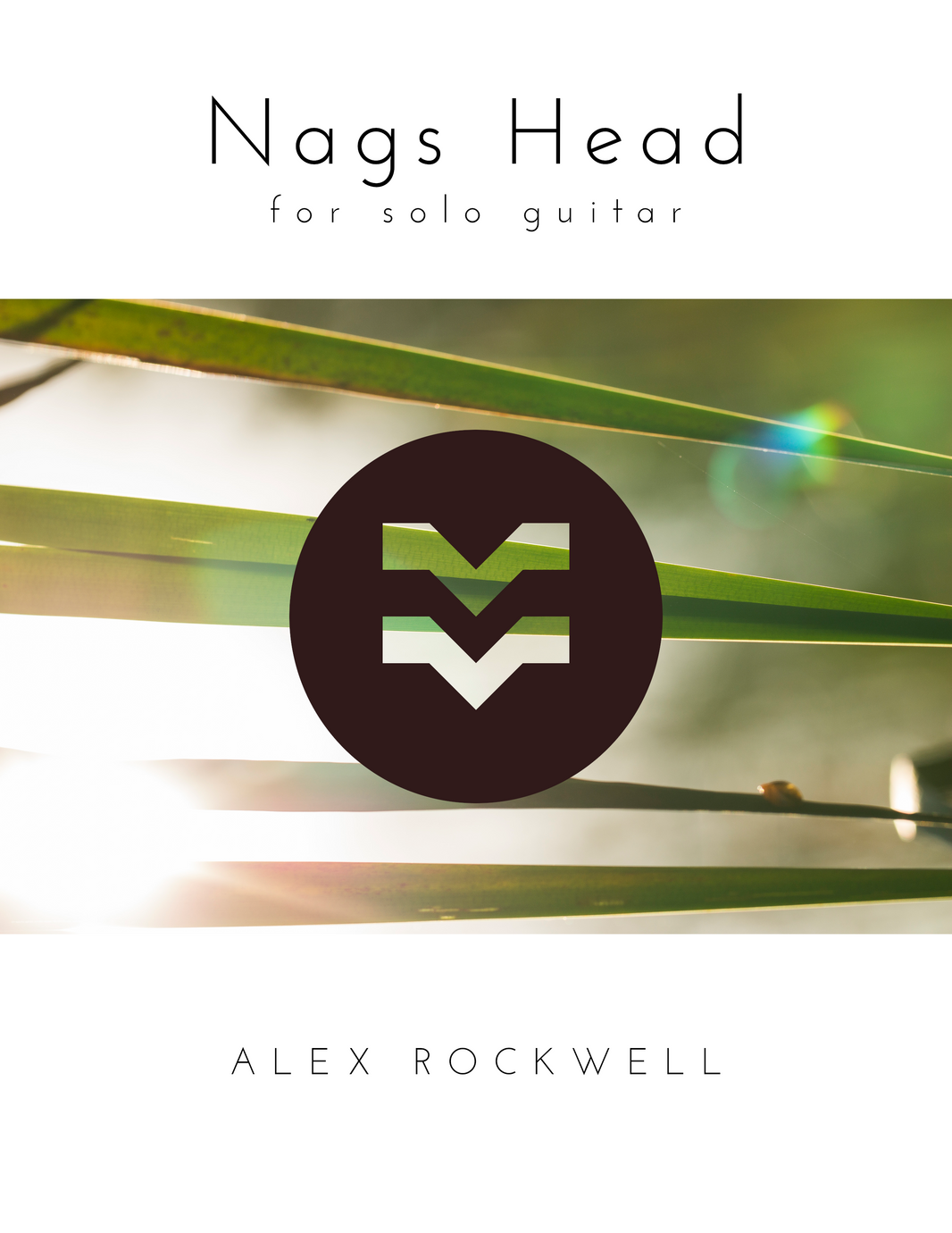 Store | Alex Rockwell | Guitarist